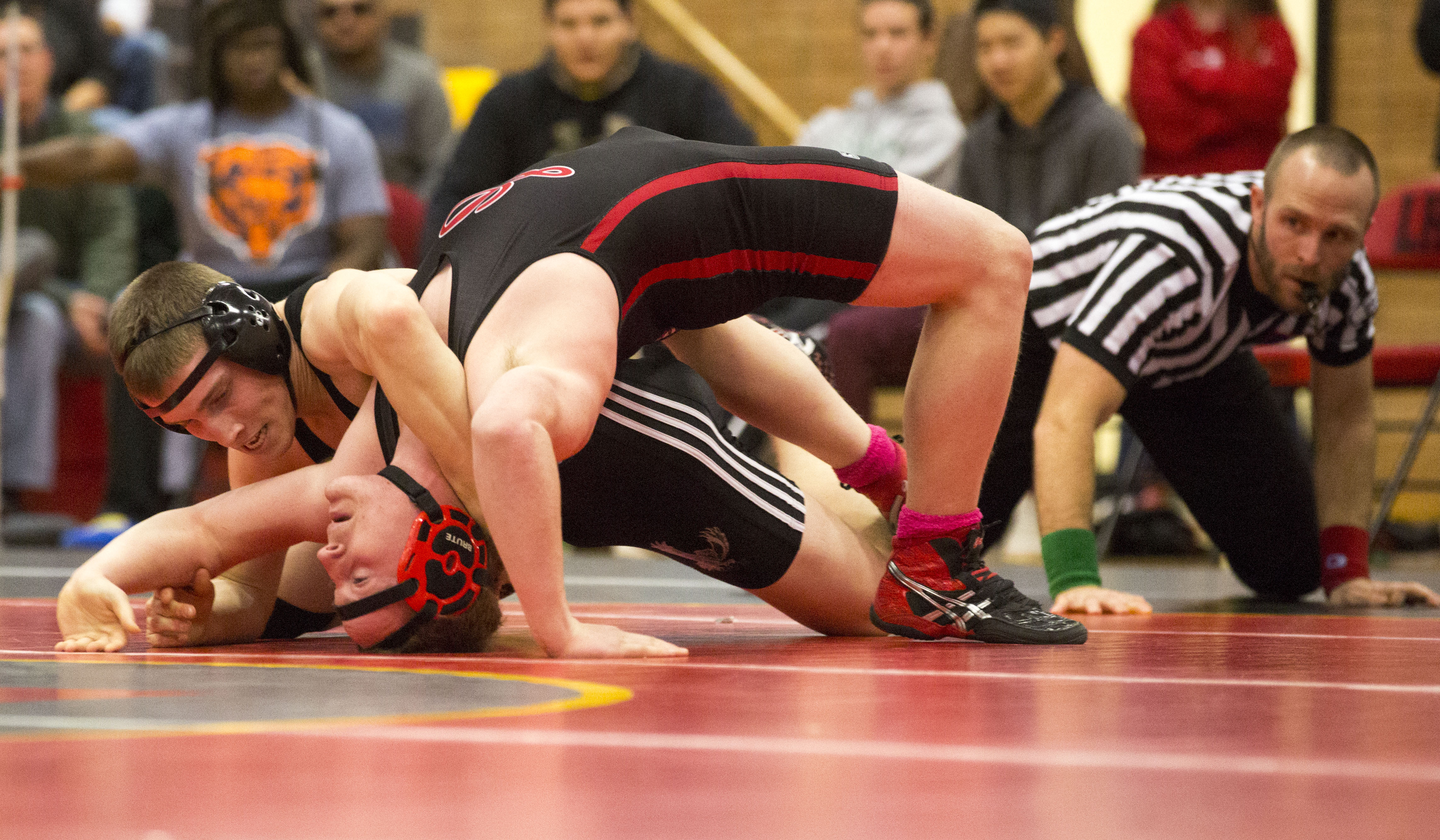 Lions rally for City Showdown wrestling rout of Firebirds | News ...